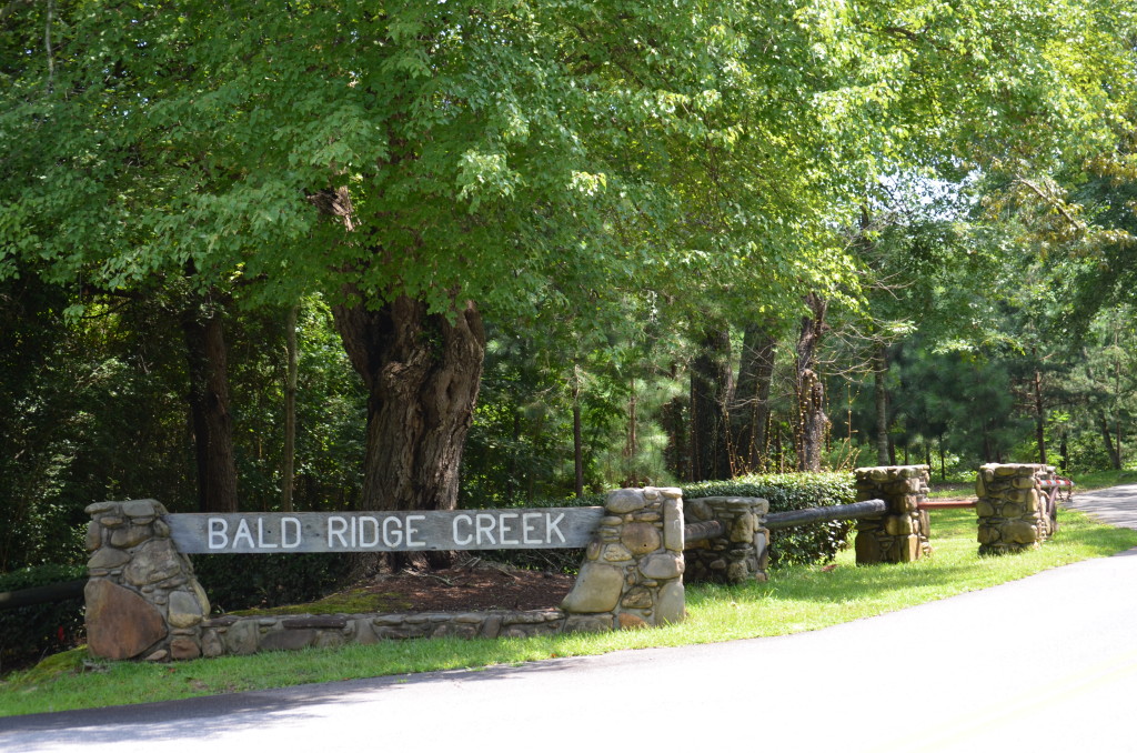 Bald Ridge Creek on Lake Lanier