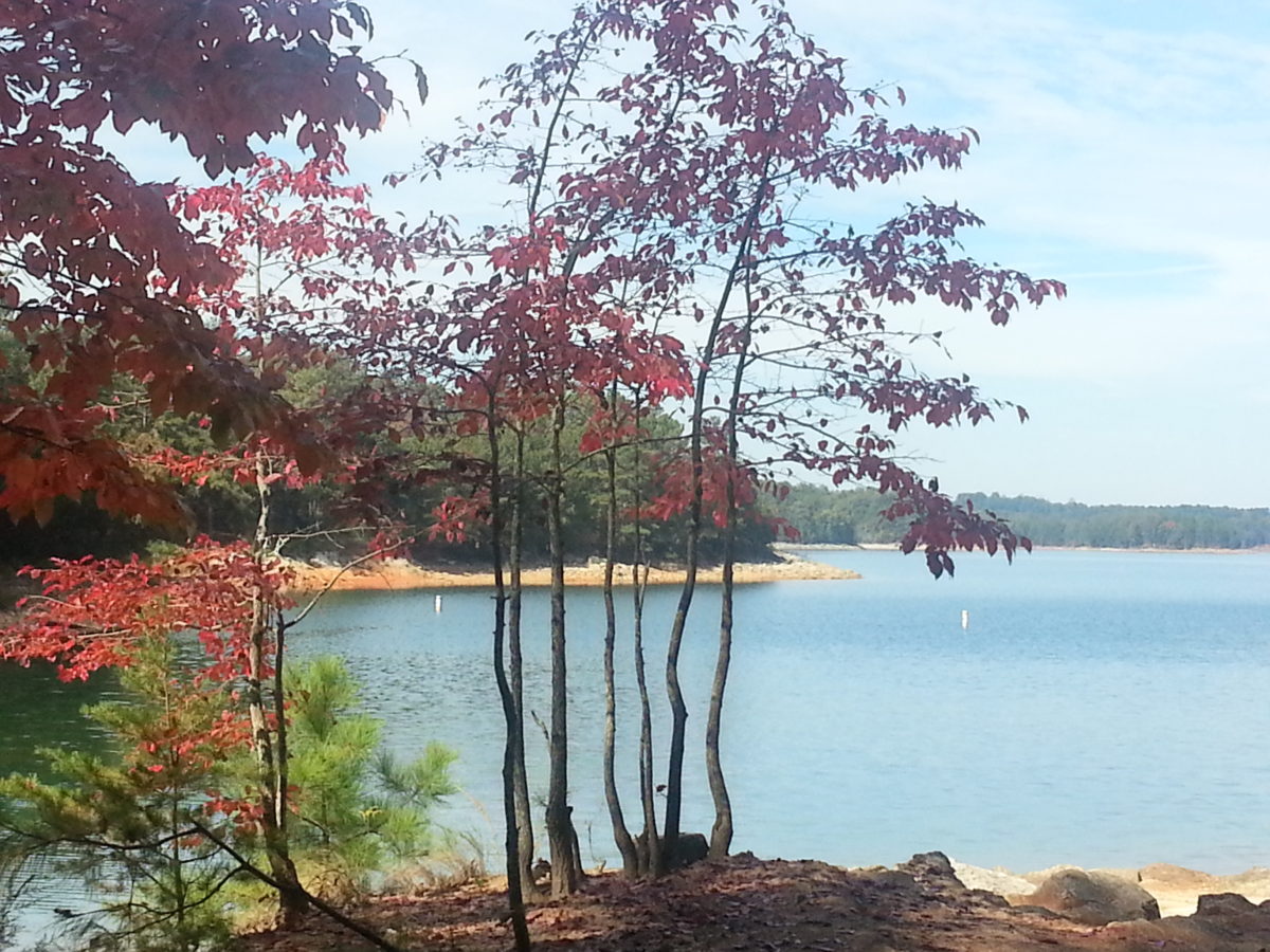 Lanier Park on Lake Lanier