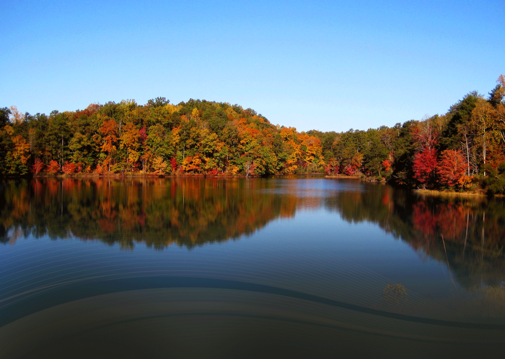 Big Creek Park on Lake Lanier