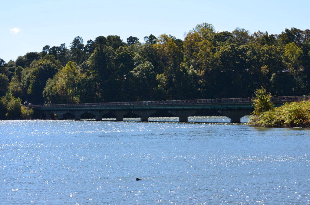 New Clarks Bridge Bridge to Bridge Lanier - Lake Lanier