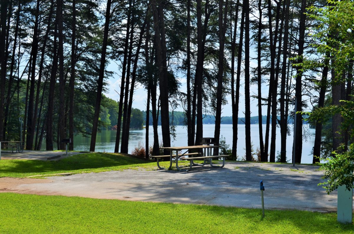 Bald Ridge Creek Park on Lake Lanier