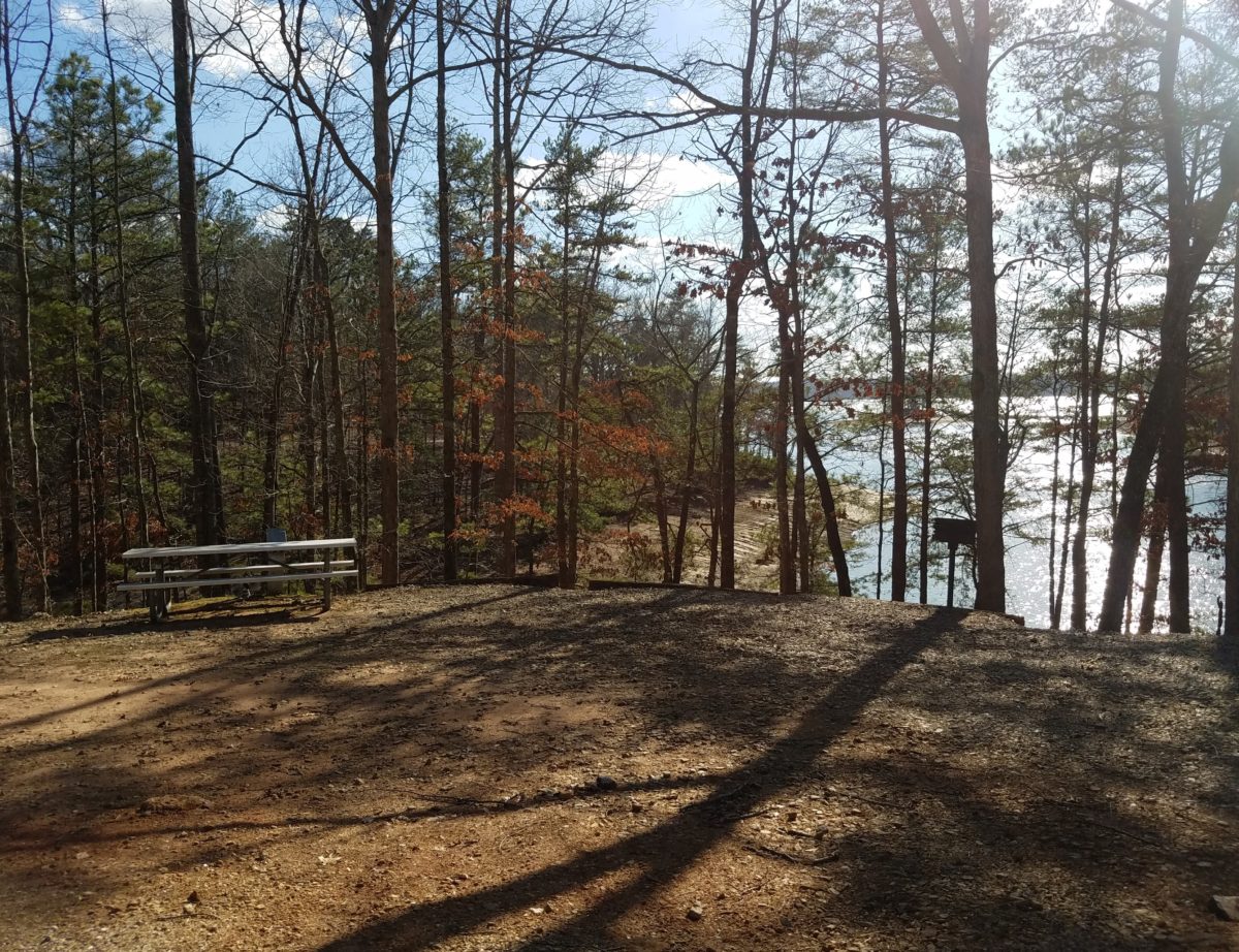 Little Ridge Park on Lake Lanier