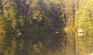 Georgia DNR's Interactive Fishing Map - Lake Lanier