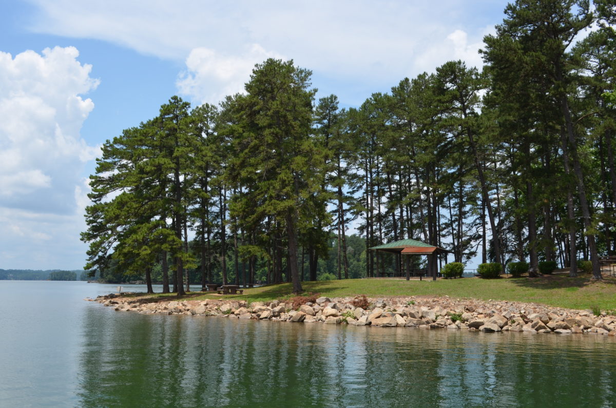 31st Annual Shore Sweep September 14, 2019 - Lake Lanier