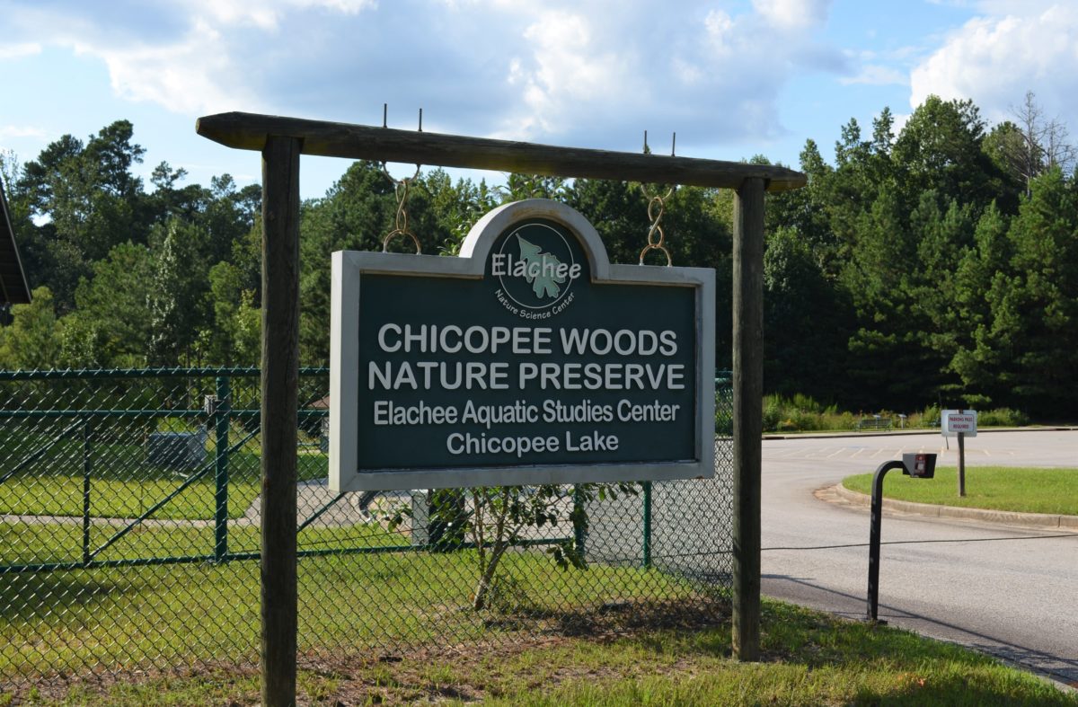 Elachee Nature Science Center in Chicopee Woods - Lake Lanier