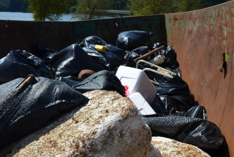 Shore Sweep: Taking Trash Out of Lake Lanier - Lake Lanier