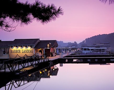 Lake Lanier Islands Resort Houseboat Tailgate Offer - Lake Lanier